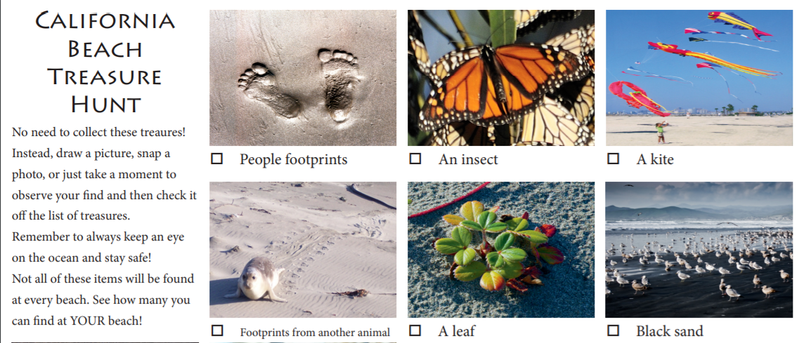 Beach Treasure Hunt - Pacific Beach Coalition