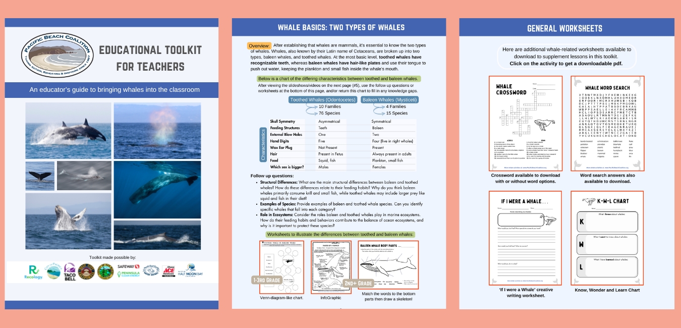whale-module-earth-day-2024-1 - Pacific Beach Coalition