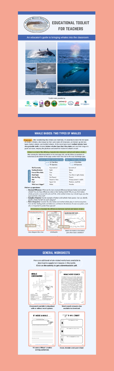 2024 Teacher Toolkit: The Whales - Pacific Beach Coalition
