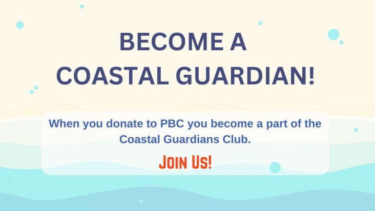 Donate to Our Ocean Conservation Non-Profit - Pacific Beach Coalition