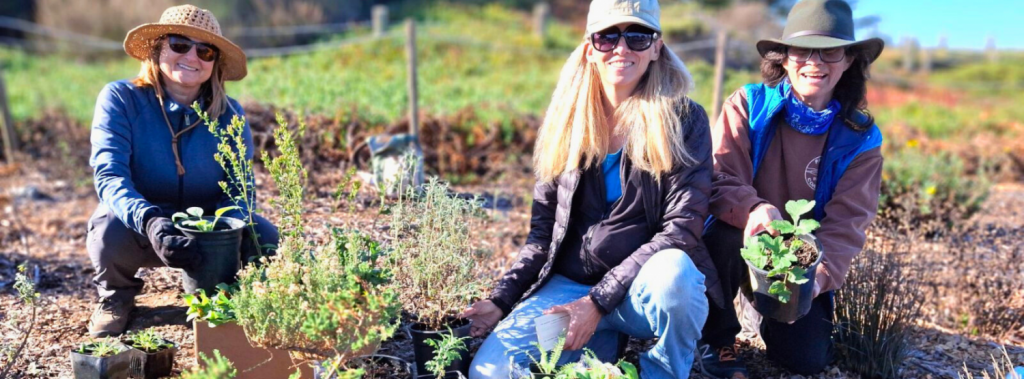 Native Habitat Restoration - 4 Locations - Pacific Beach Coalition