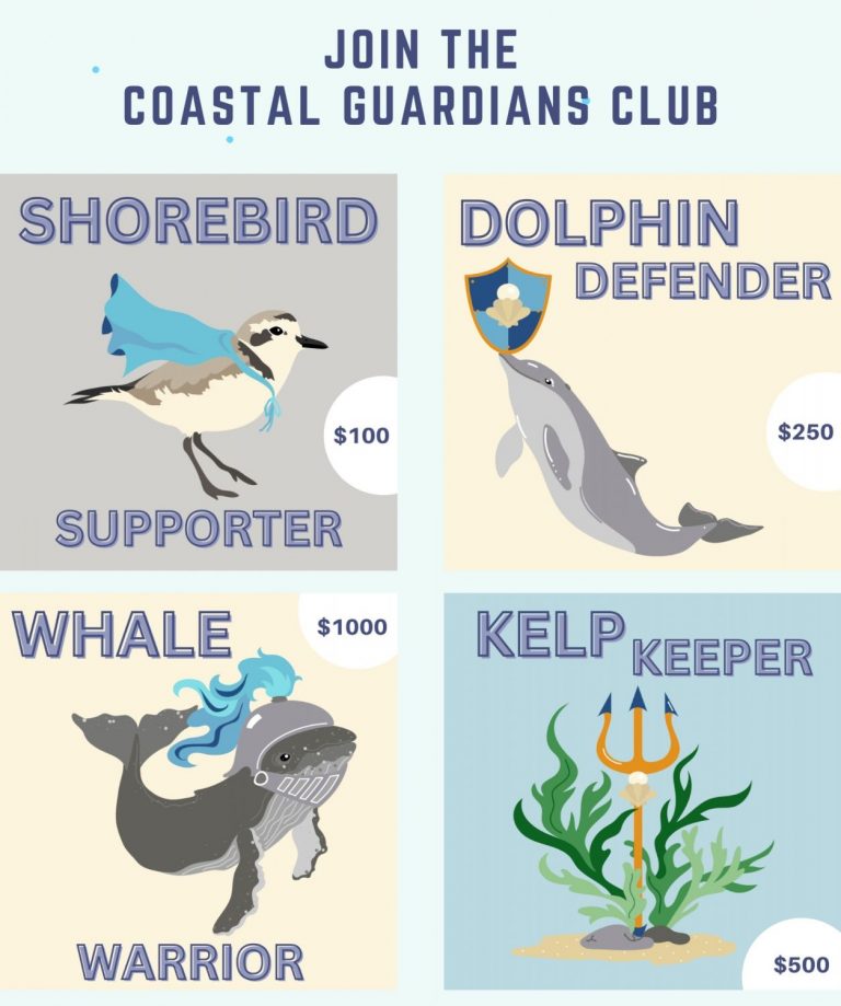 Ocean Conservation Non-Profit - Pacific Beach Coalition