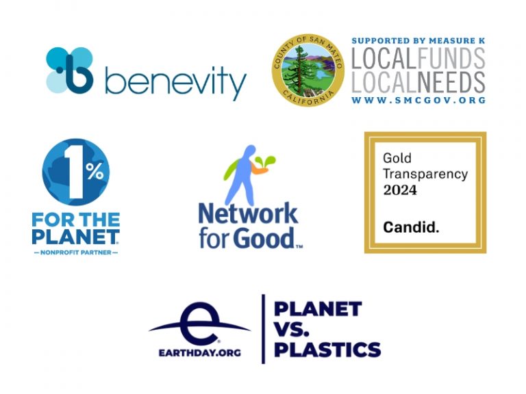 Five Busy Honey Bees - Nursery Rhymes - Pacific Beach Coalition