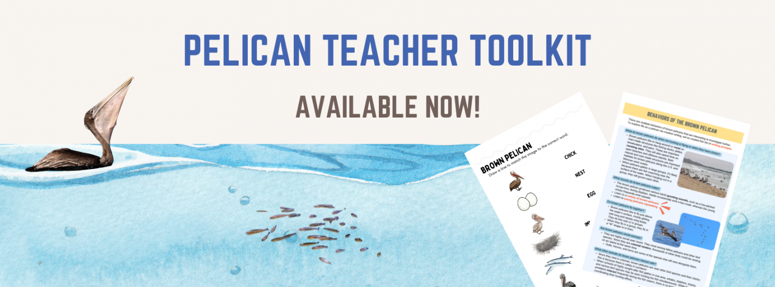 Make a Splash in Class: Educational Pelican Toolkit - Pacific Beach Coalition