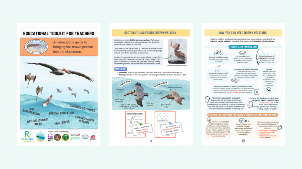 Make a Splash in Class: Educational Pelican Toolkit - Pacific Beach ...